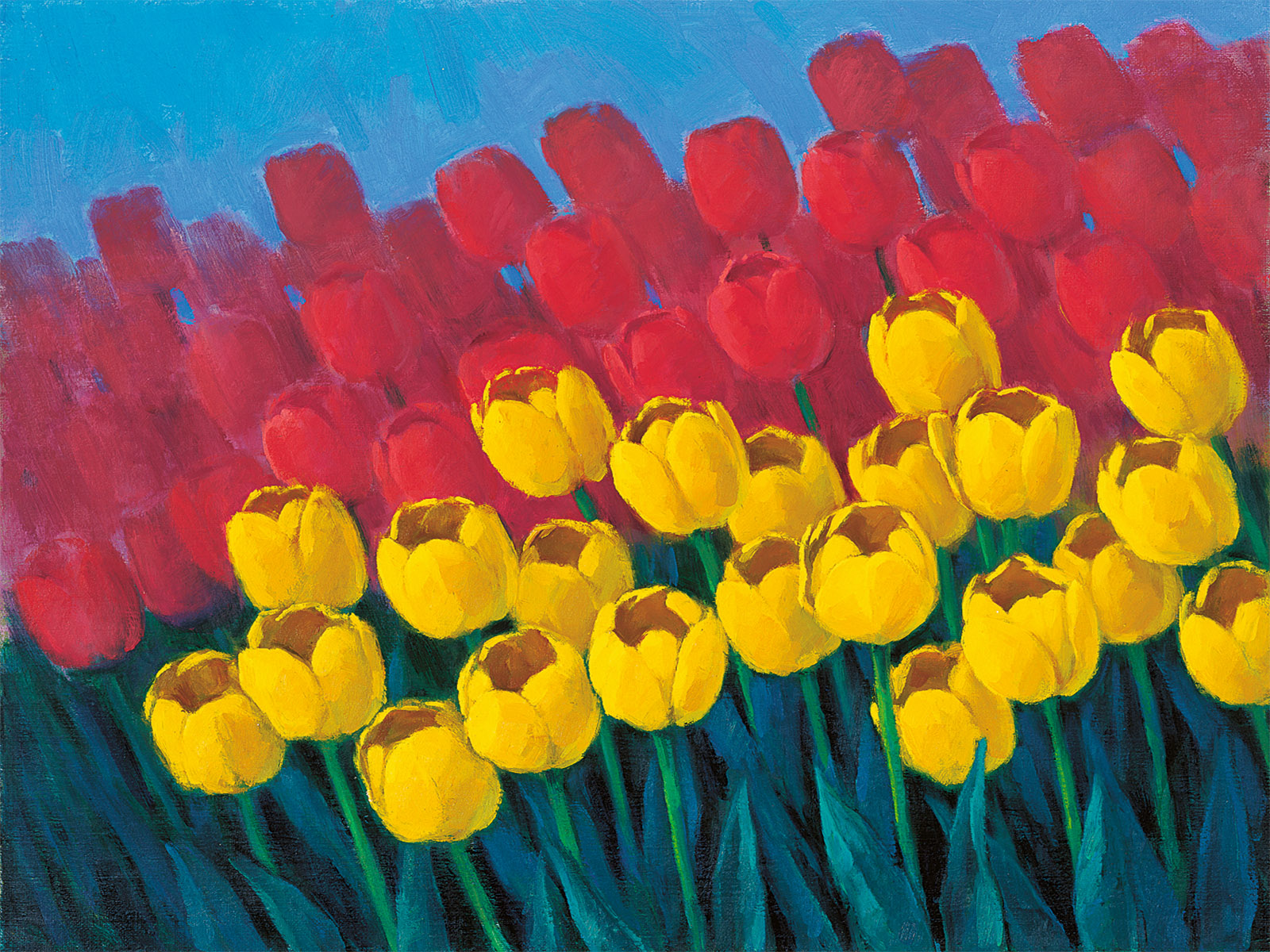 台灣口足畫家-MFPA Taiwan